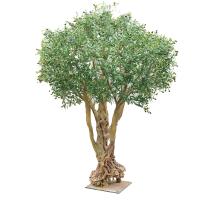 China 300CM 10FT Artificial Olive Tree Indoor Home Hotel Indoors Restaurant Cafe Restaurants Hotels Interior Olive Tree for sale