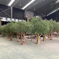 China 2.2m-3m 8ft -10ft large Artificial Olive Tree Ornamental Trees for Indoor or Outdoor Decoration for sale