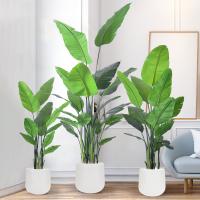 China Traveller Ravenala Pot Planted Plastic Tree Wholesale Best Artificial Bird Of Paradise Plant for sale