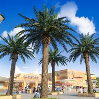 China Haihong Artificial Palm Trees UV Resistant Large Fake Tropical Date Palm Tree Coconut Palm for Airport Outdoor Decoration for sale