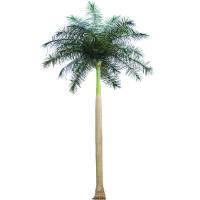 China Haihong Artificial Palm Trees UV Resistant Large Fake Tropical Date Palm Tree Coconut Palm for Airport Outdoor Decoration for sale