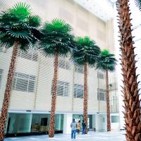 China Haihong Artificial Palm Trees UV Resistant Large Fake Tropical Date Palm Tree Coconut Palm for Airport Outdoor Decoration for sale