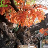 China artificial 3.5-4.5 autumn flame dark red maple tree for wedding hotel shopping mall decoration for sale