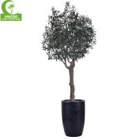 China Customized Large Olive Artifical Tree Simulation Indoor Restaurant Decoration for sale