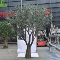 China Customized Large Olive Artifical Tree Simulation Indoor Restaurant Decoration for sale