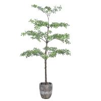 China Artificial Terminalia Tree 180cm 260cm 320cm | Large Faux Tree for Hotel & Commercial Landscaping | Indoor Outdoor Decor for sale