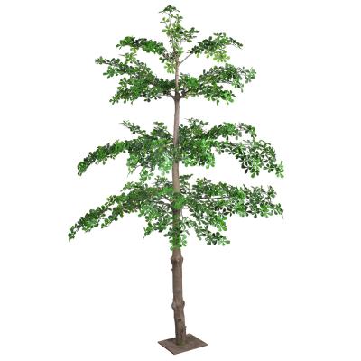 China Artificial Terminalia Tree 180cm 260cm 320cm | Large Faux Tree for Hotel & Commercial Landscaping | Indoor Outdoor Decor for sale