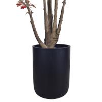 China Artificial Multi-Stem Oak Tree 250cm | Large Faux Tree for Hotel Lobby & Commercial Landscape Decor for sale