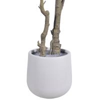 China Artificial Green Oak Tree 160cm 185cm 210cm | Lifelike Faux Oak for Indoor Office & Hotel Decor for sale