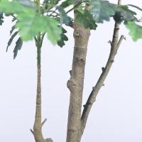 China Artificial Green Oak Tree 160cm 185cm 210cm | Lifelike Faux Oak for Indoor Office & Hotel Decor for sale