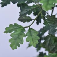 China Artificial Green Oak Tree 160cm 185cm 210cm | Lifelike Faux Oak for Indoor Office & Hotel Decor for sale