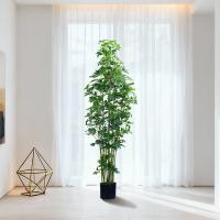 China Artificial Multi-Stem Schefflera Plant 120cm 150cm 180cm | Faux Arboricola for Indoor Office & Home Decor for sale