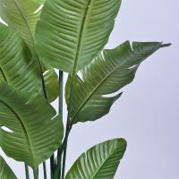 China Artificial Travelers Palm with Realistic Brown Leaf Edges 160cm 180cm | Lifelike Faux Bird of Paradise Plant for Decor for sale