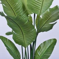 China Artificial Travelers Palm with Realistic Brown Leaf Edges 160cm 180cm | Lifelike Faux Bird of Paradise Plant for Decor for sale