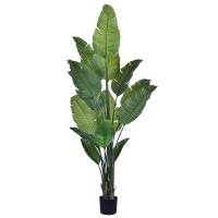 China Artificial Travelers Palm with Realistic Brown Leaf Edges 160cm 180cm | Lifelike Faux Bird of Paradise Plant for Decor for sale
