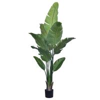 China Artificial Travelers Palm with Realistic Brown Leaf Edges 160cm 180cm | Lifelike Faux Bird of Paradise Plant for Decor for sale