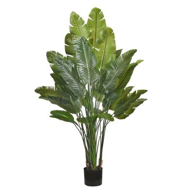 China Artificial Travelers Palm with Realistic  Leaf Edges 160cm 180cm | Lifelike Faux Bird of Paradise Plant for Decor for sale