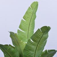 China Artificial Travelers Palm with Realistic  Leaf Edges 160cm 180cm | Lifelike Faux Bird of Paradise Plant for Decor for sale
