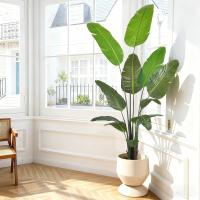 China Artificial Plants Supplier Wholesale Artificial Potted Plants For Indoors for sale