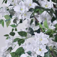 China Wholesale 220cm Artificial Bougainvillea Plant - Model B White - Haihong Factory Direct | Realistic Outdoor Decor | Bulk Supply for Landscaping for sale