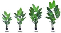 China Wholesale Artificial Plants Palm Tree & Birds of Paradise - Model K Traveler's Palm 5.2ft-8.2ft | Haihong Factory Direct | Large Tropical Artificial Trees for Outdoor Landscaping for sale