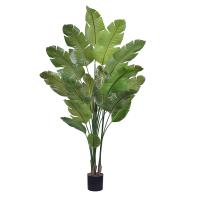 China Haihong New Arrival Indoor Artificial Plants Realistic Bird Of Paradise Artificial Plant Tropical Palm Decoration Salon For Home for sale