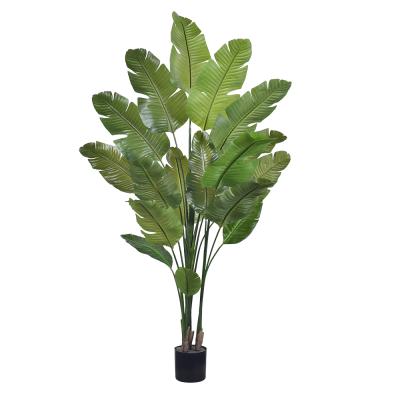 China Haihong New Arrival Indoor Artificial Plants Realistic Bird Of Paradise Artificial Plant Tropical Palm Decoration Salon For Home for sale