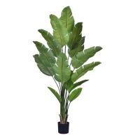 China Haihong New Arrival Indoor Artificial Plants Realistic Bird Of Paradise Artificial Plant Tropical Palm Decoration Salon For Home for sale