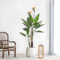China haihong Artificial plant Silk Bird of Paradise Tropical Palm Tree Potted Plant for Decor for sale