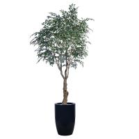 China Lifelike Artificial Mini Ficus Tree - Artistic Trunk in 7.5FT/9.2FT, Low Maintenance for Luxury Spa & Restaurant Interior Design for sale