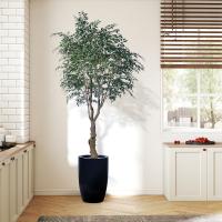 China Lifelike Artificial Mini Ficus Tree - Artistic Trunk in 7.5FT/9.2FT, Low Maintenance for Luxury Spa & Restaurant Interior Design for sale
