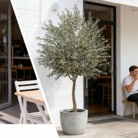 China Hot Selling Artificial Plant Combining Potted Olive Trees High Quality Ornamental Olive Tree Artificial for Interior Decor for sale