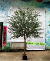 China Hot Selling Artificial Plant Combining Potted Olive Trees High Quality Ornamental Olive Tree Artificial for Interior Decor for sale