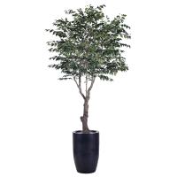 China Large 280 cm 250cm Anti-Ultraviolet Large Fake Plants Banyan Tree Bonsai Plant Plastic Garden Supplies for Home Garden for sale