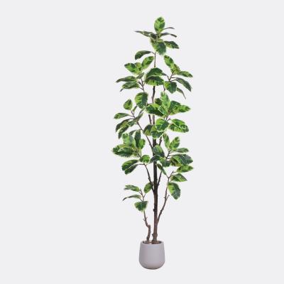 China Latest New Arrival Artificial Indoor Plants Potted Plants Green White Faux Rubber Tree for Decoration Home Office Small Plastic for sale