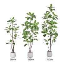China Latest New Arrival Artificial Indoor Plants Potted Plants Green White Faux Rubber Tree for Decoration Home Office Small Plastic for sale