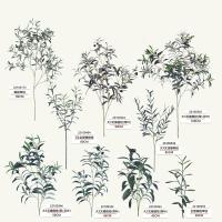 China High Quality Wholesale Silk Greenery Olive Tree Branches Decor Olive Faux Olive Spray For Home Party for sale