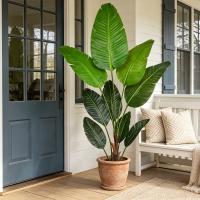 China Wholesale Artificial Plants Simulation Traveler's Banana Tree with Natural Palm Fiber Bark | Factory Direct Faux Tropical Greenery for Commercial Landscape for sale