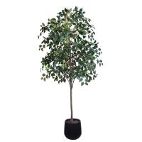 China Realistic D-Style Artificial Stereo Ficus Tree | Custom Flame Retardant & UV Resistant Fake Banyan Plant, 120/140/180cm, Uniform Packaging with Black Pot for Commercial & Home Interior Decor for sale