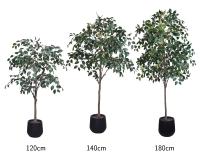 China Realistic D-Style Artificial Stereo Ficus Tree | Custom Flame Retardant & UV Resistant Fake Banyan Plant, 120/140/180cm, Uniform Packaging with Black Pot for Commercial & Home Interior Decor for sale
