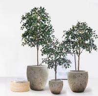 China Realistic D-Style Artificial Stereo Ficus Tree | Custom Flame Retardant & UV Resistant Fake Banyan Plant, 120/140/180cm, Uniform Packaging with Black Pot for Commercial & Home Interior Decor for sale