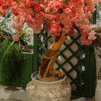 China Artificial Cherry Blossom Tree Real Wood Trunk Silk Sakura Flower Tree for Wedding Decoration Indoor Outdoor for sale