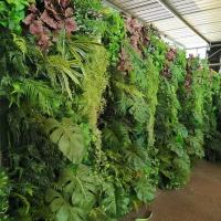 China Custom Artificial Green Wall Panels - Vertical Garden for Restaurant, Hotel & Mall (B1 Fire Retardant, Anti-UV) for sale