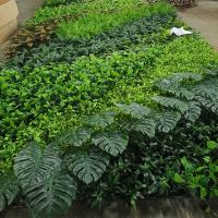 China Custom Artificial Green Wall Panels - Vertical Garden for Restaurant, Hotel & Mall (B1 Fire Retardant, Anti-UV) for sale