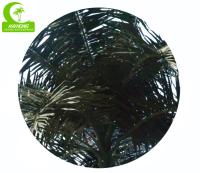 China Royal 15m Artificial Coconut Palm Trees For Outdoor And Indoor for sale