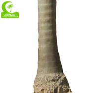 China Royal 15m Artificial Coconut Palm Trees For Outdoor And Indoor for sale