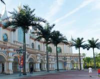 China Royal 15m Artificial Coconut Palm Trees For Outdoor And Indoor for sale