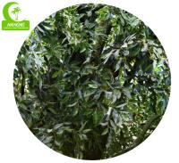 China Easy To Care H400cm Lifelike Artificial Laurel Tree Anti Fading for sale