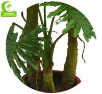 China Artificial Plants Wholesale for sale
