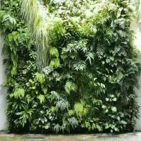 China Rain Resistant Lifelike Anti Fading Vertical Greening For Garden for sale